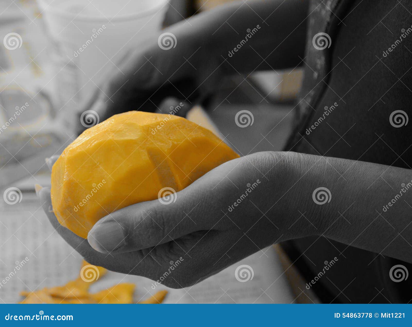 Mango in hand stock photo. Image of mango, attention - 54863778