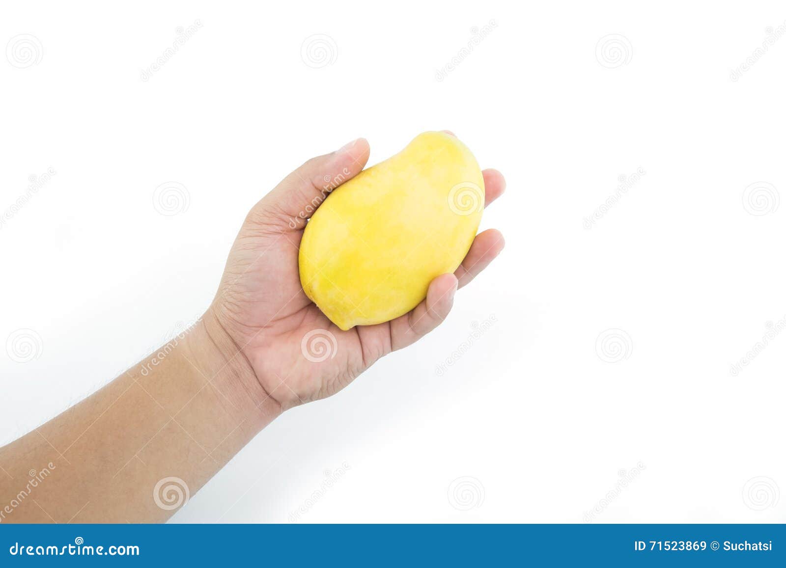 Mango in hand, isoalted stock image. Image of background - 71523869