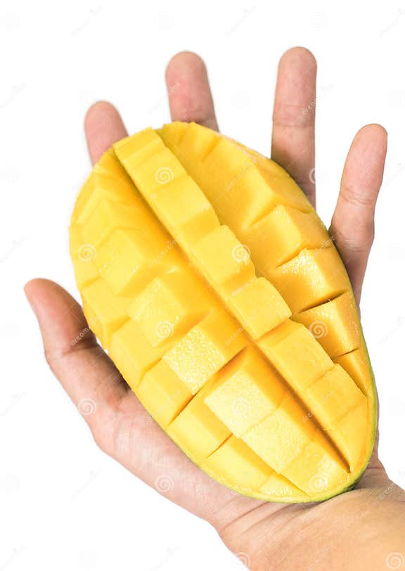 Mango in Hand Isolated on White Stock Image - Image of thailand ...