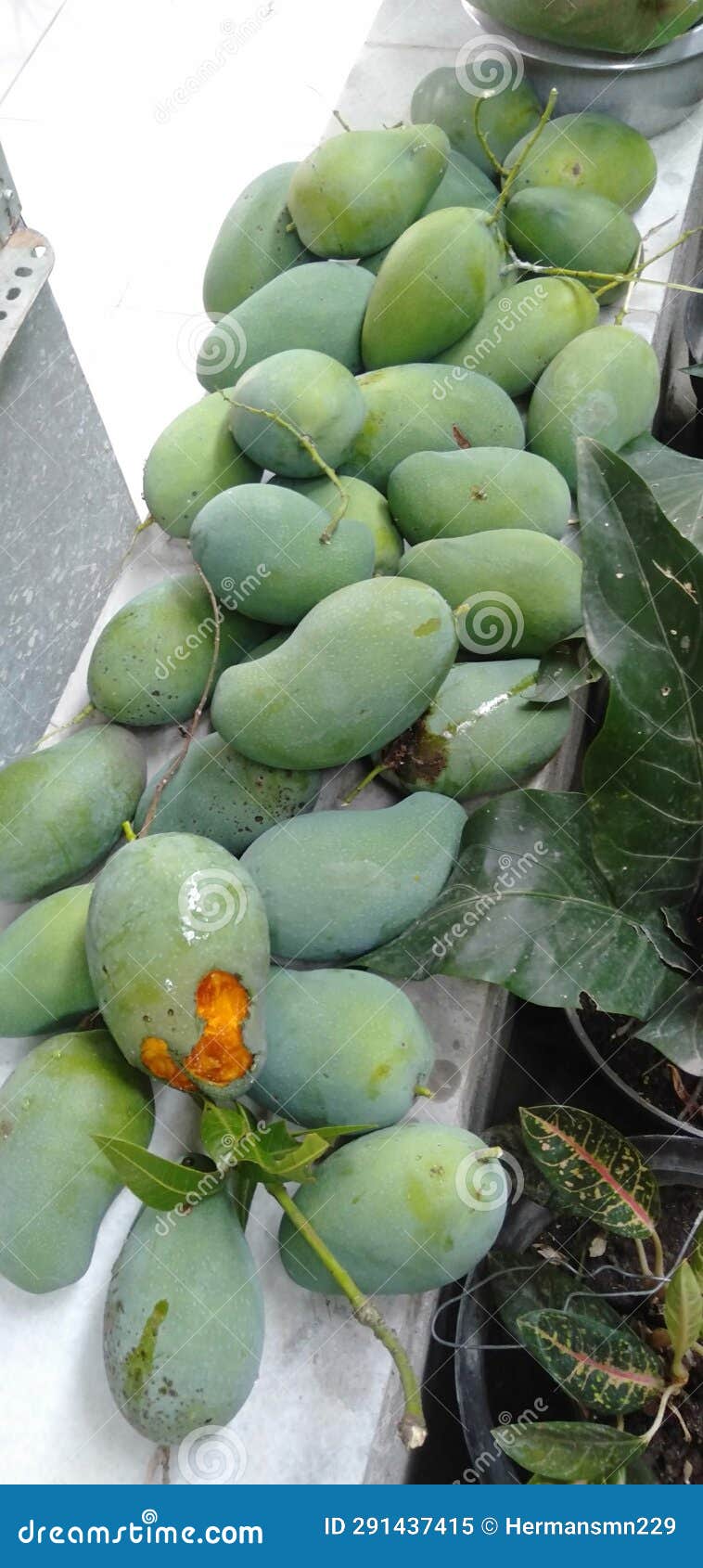 Codot Stock Photos - Free & Royalty-Free Stock Photos from Dreamstime