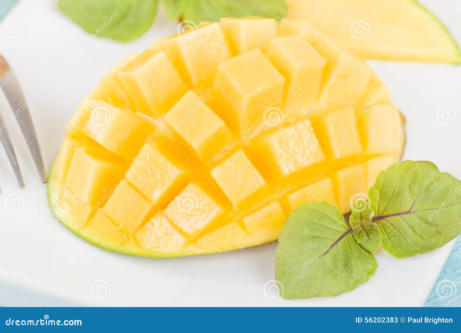 Mango Hedgehog stock image. Image of asia, isolated, brazil - 56202383