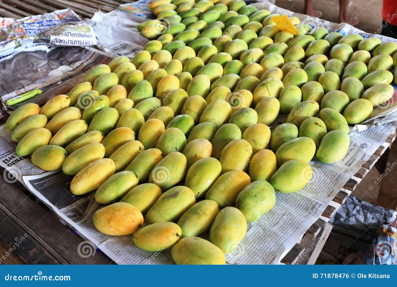 Mango editorial photo. Image of fruit, local, fresh, sweet - 71878476