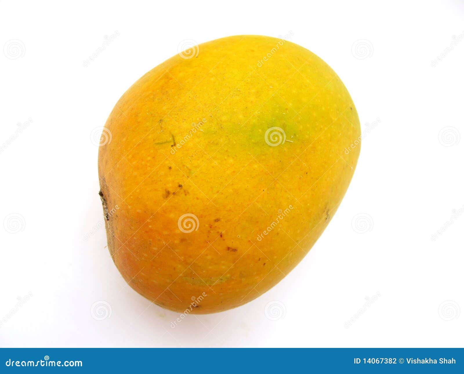 Mango indio de Alfonso foto de archivo. Imagen de india - 14067382