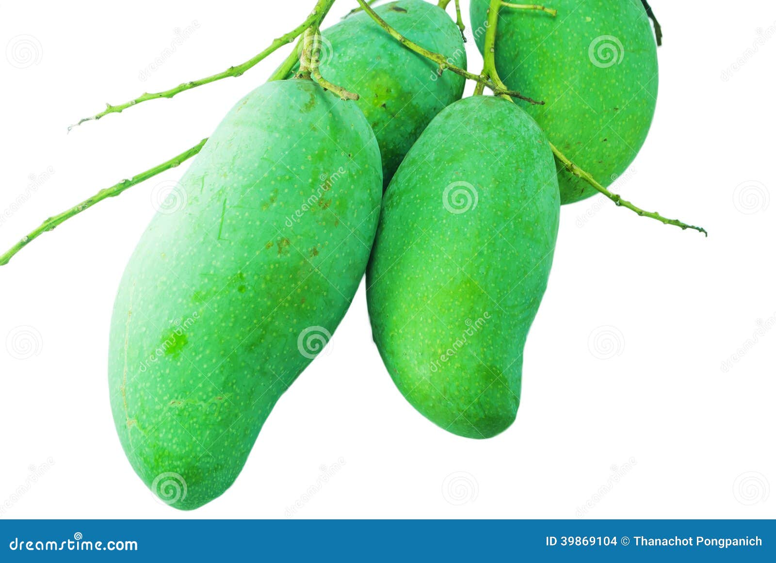 Mango on isolate stock photo. Image of closeup, background - 39869104