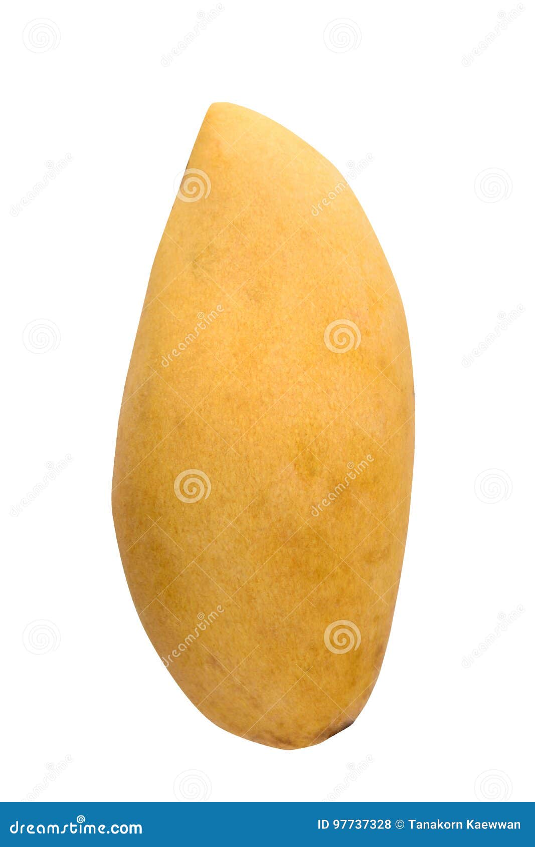 Mango Isolate White Background Stock Photo - Image of healthy, gourmet ...
