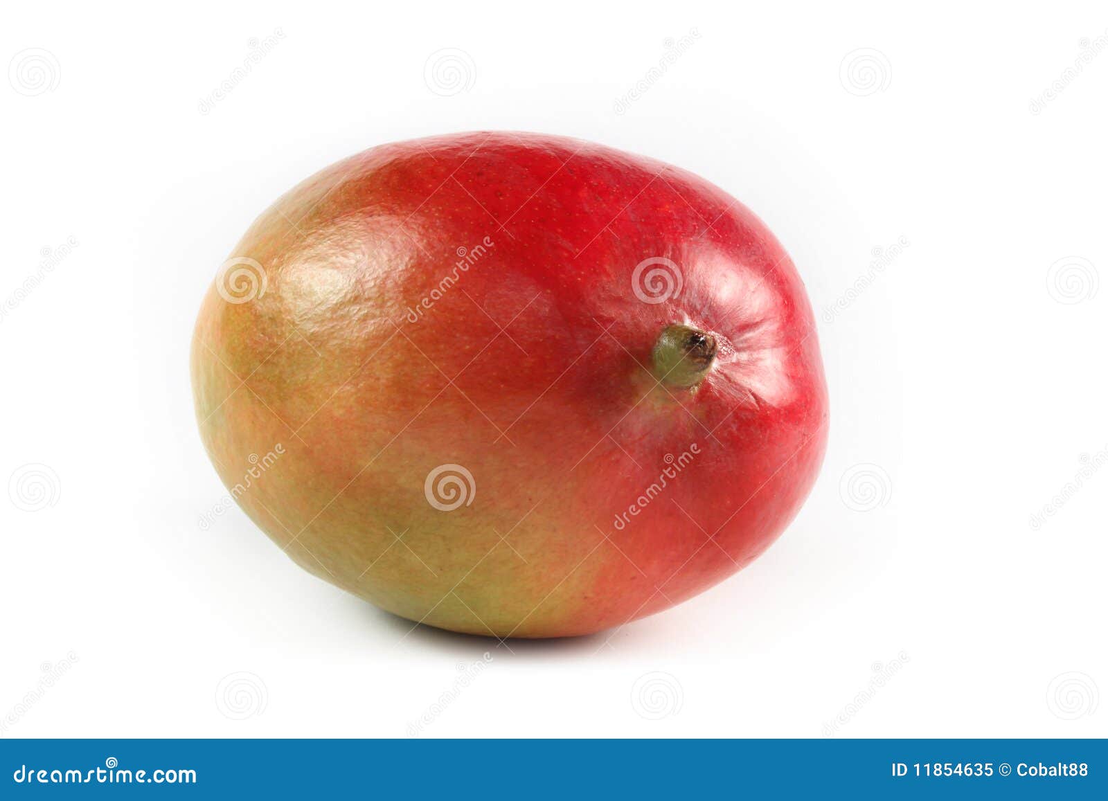 Mango isolated stock image. Image of fresh, nature, sweet - 11854635
