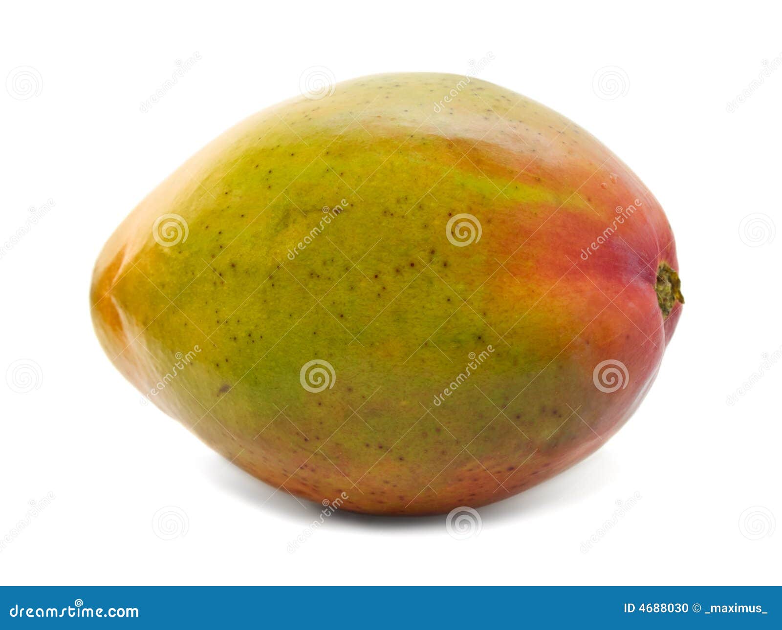 Mango Isolated Picture. Image: 4688030