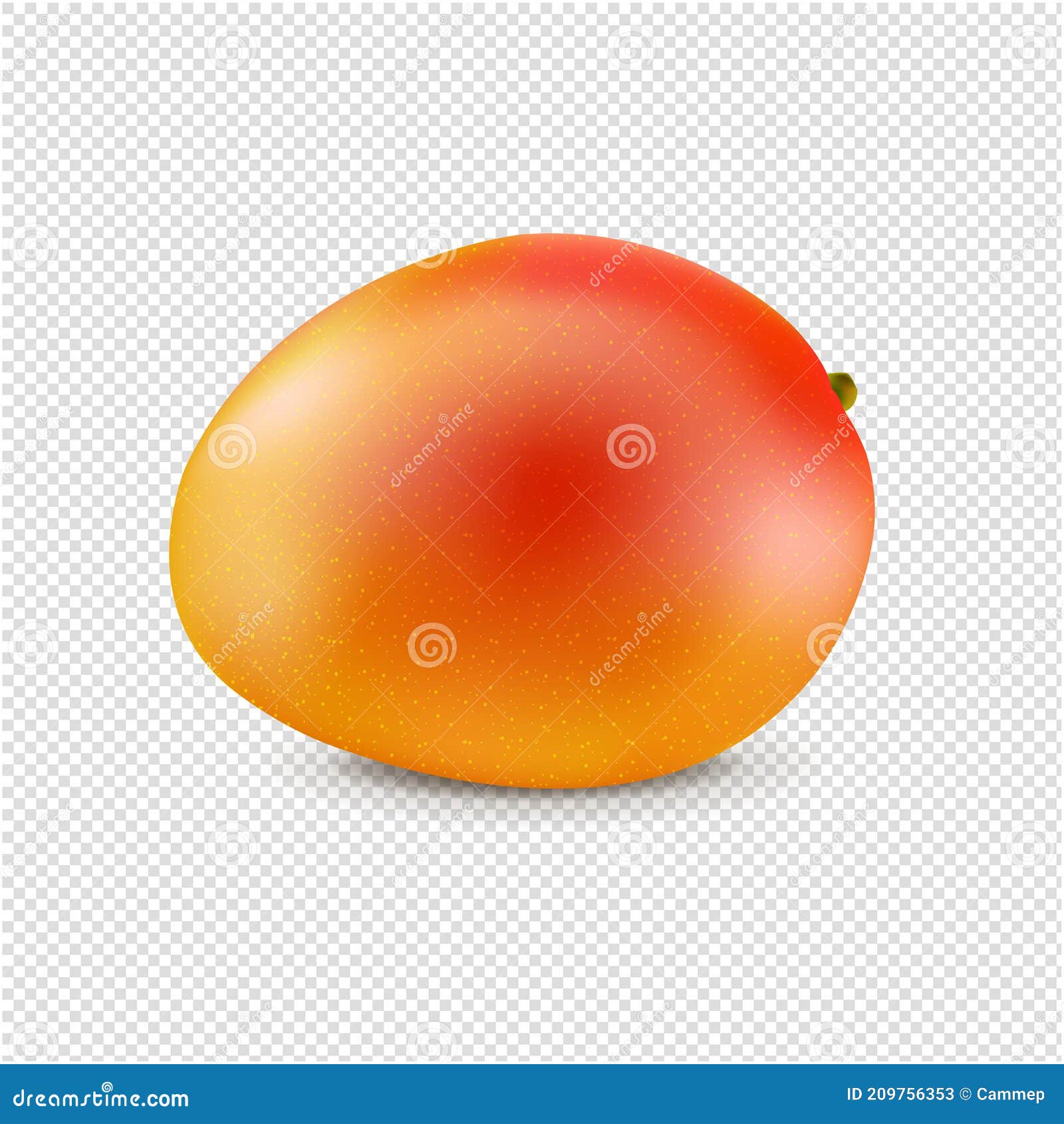 Mango Isolated Transparent Background Stock Vector - Illustration of ...