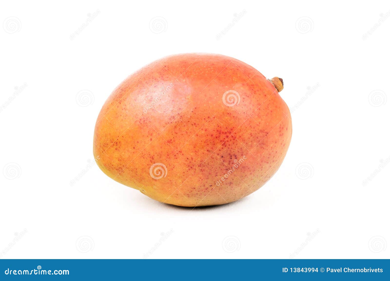 Mango isolated on white stock photo. Image of fresh, tropical - 13843994