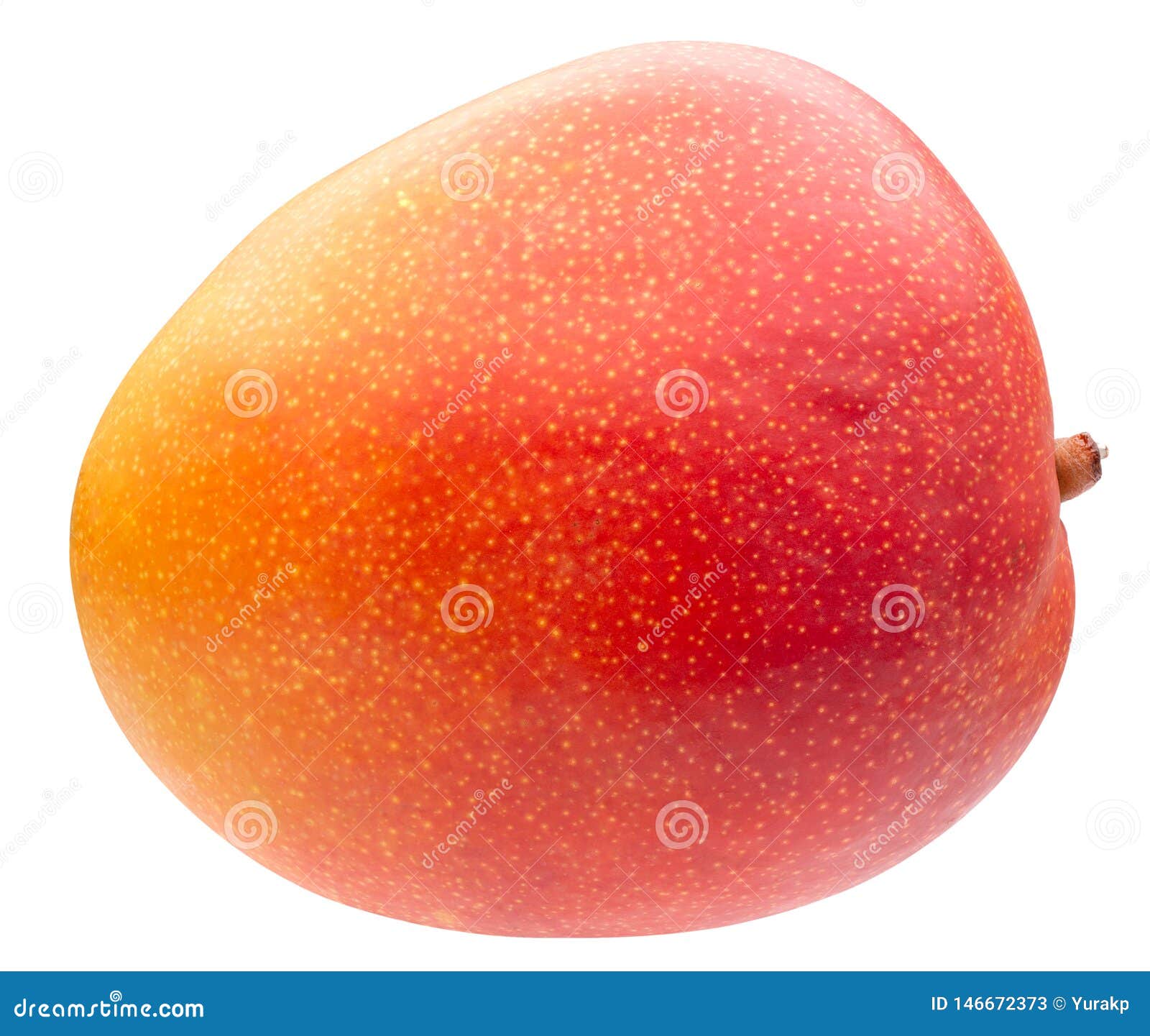 Mango Isolated on a White Background Stock Image - Image of food ...