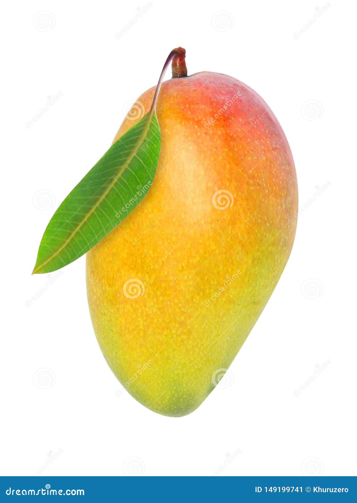 Mango Isolated on White Background Stock Image - Image of green ...