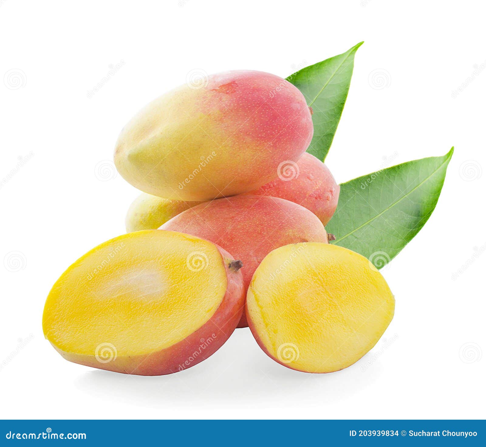 Mango Isolated on White Background Stock Photo - Image of citrus ...
