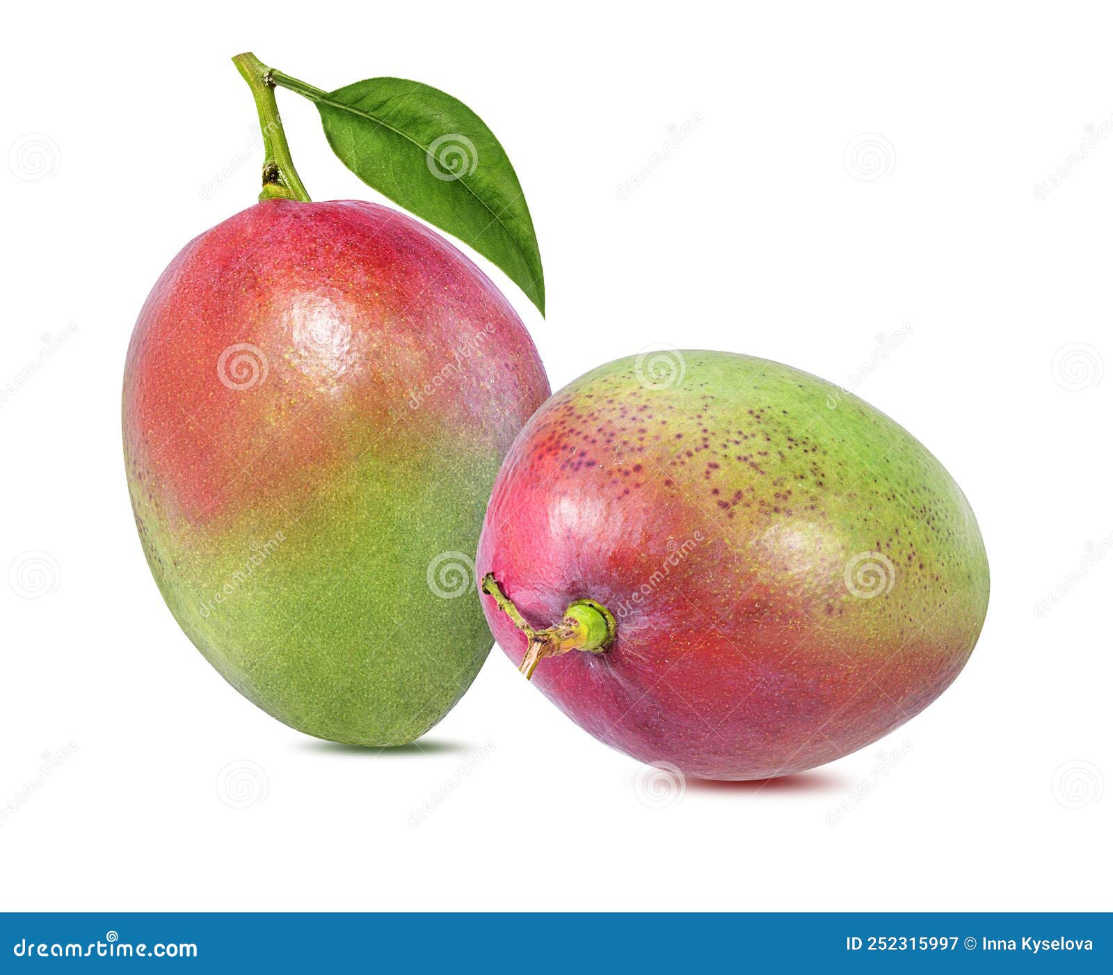 Mango isolated on white stock image. Image of healthy - 252315997