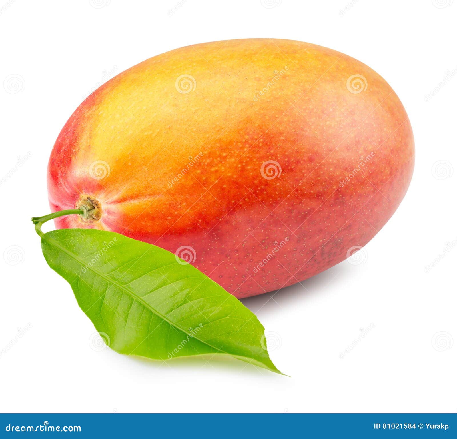 Mango Isolated on the White Background Stock Photo - Image of leaf ...