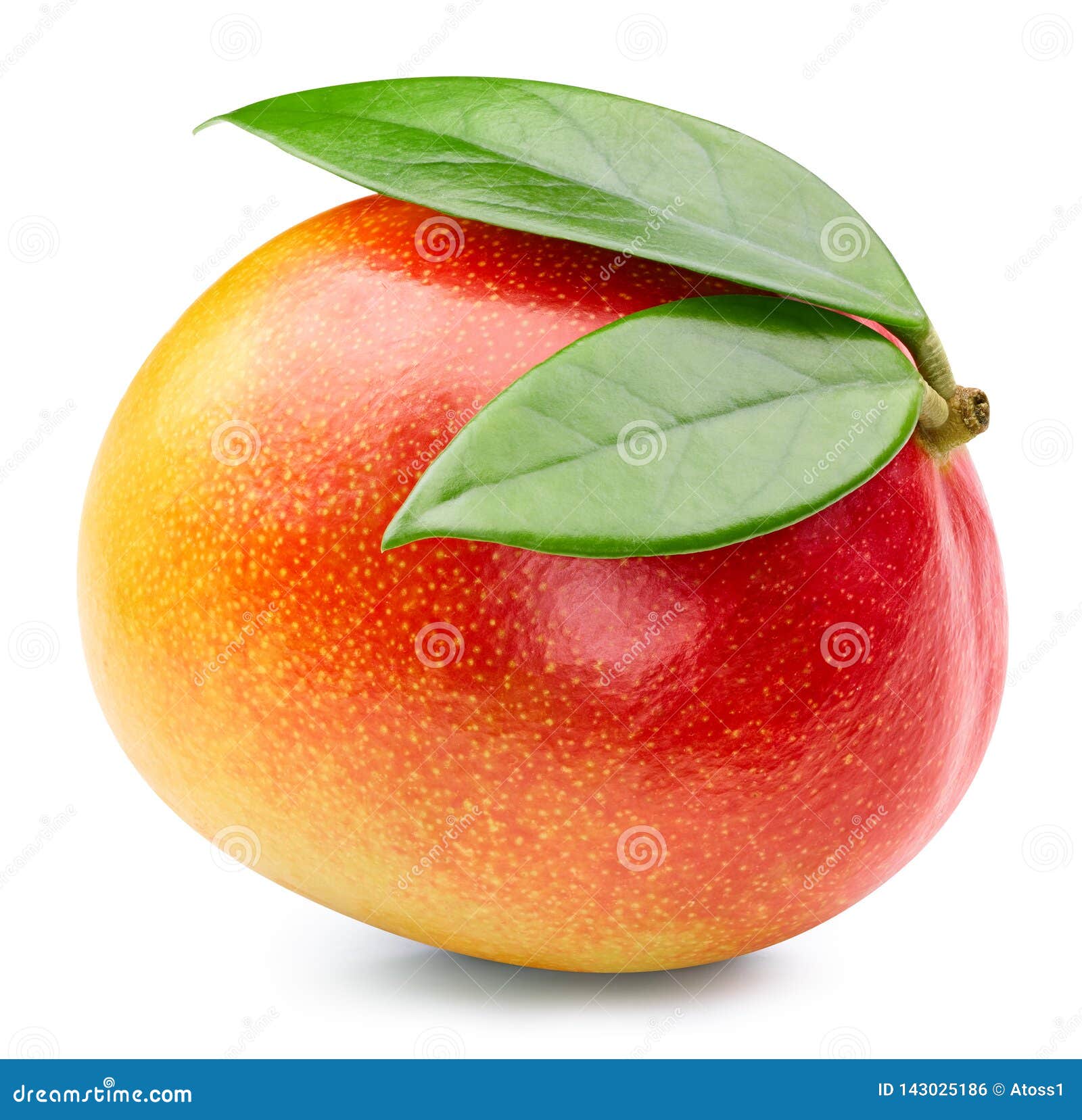 Mango isolated on white stock photo. Image of gourmet - 143025186