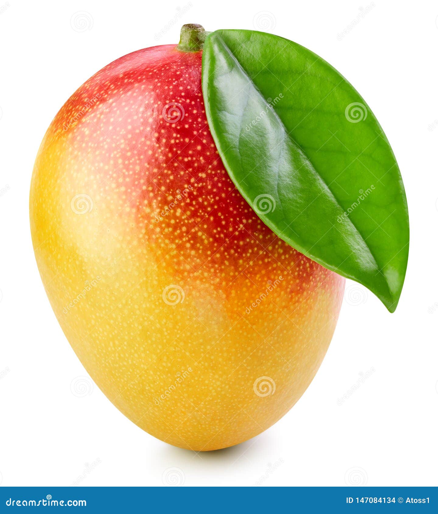 Mango isolated on white stock photo. Image of fruits - 147084134