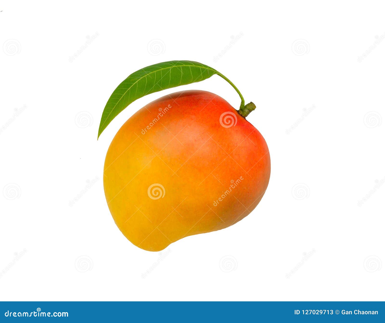 Mango Isolated on White Background Stock Image - Image of isolated ...