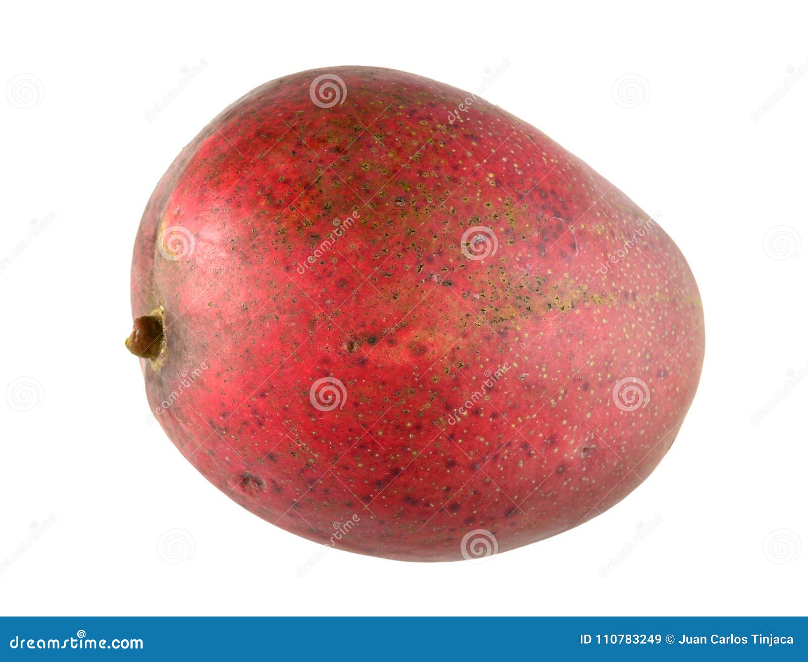 Mango isolated. stock image. Image of food, essential - 110783249