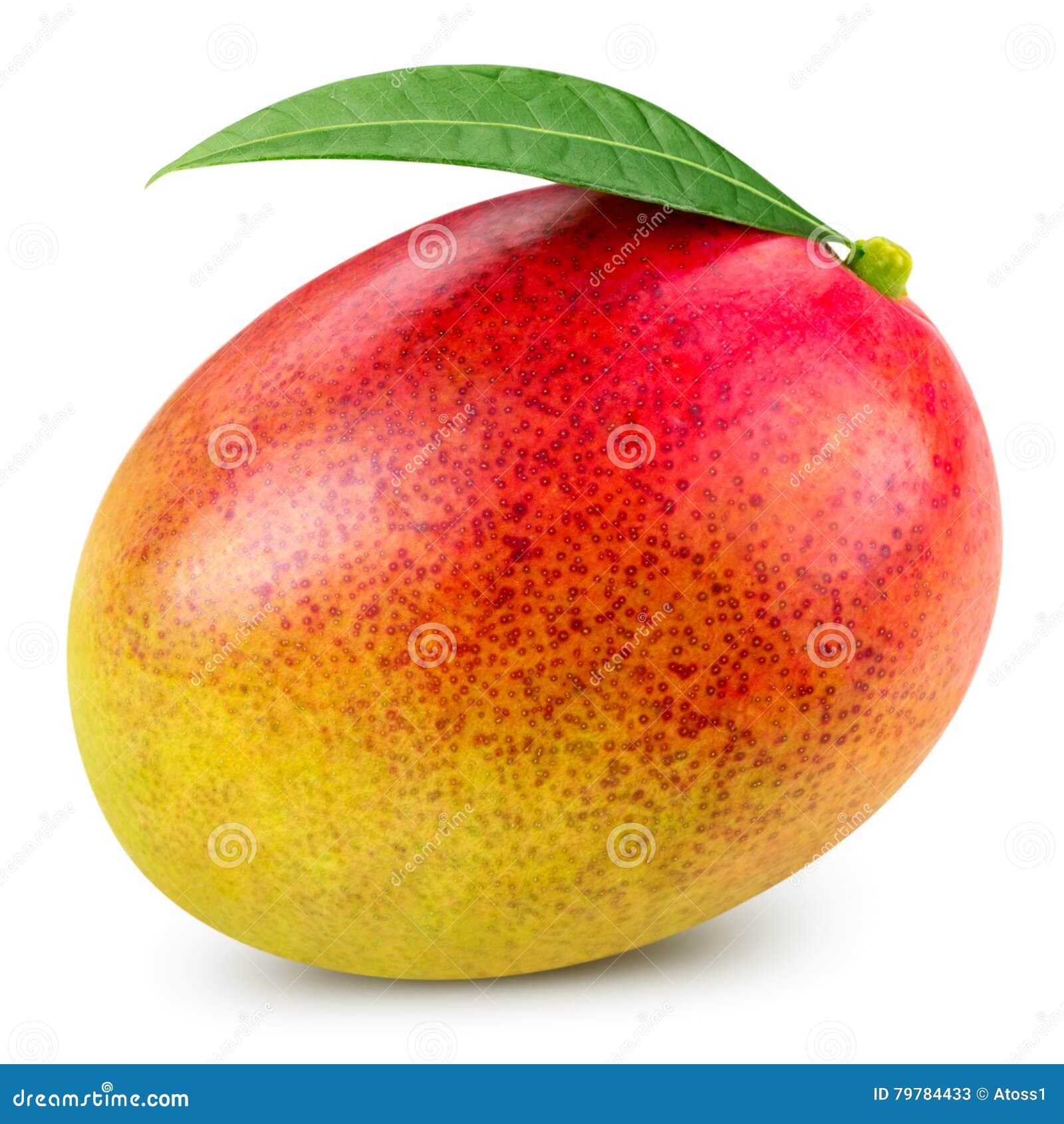Mango isolated on white stock image. Image of healthy - 79784433