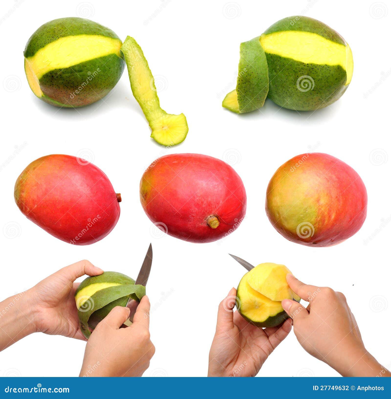 Mango with knife stock photo. Image of sweet, tropical - 27749632