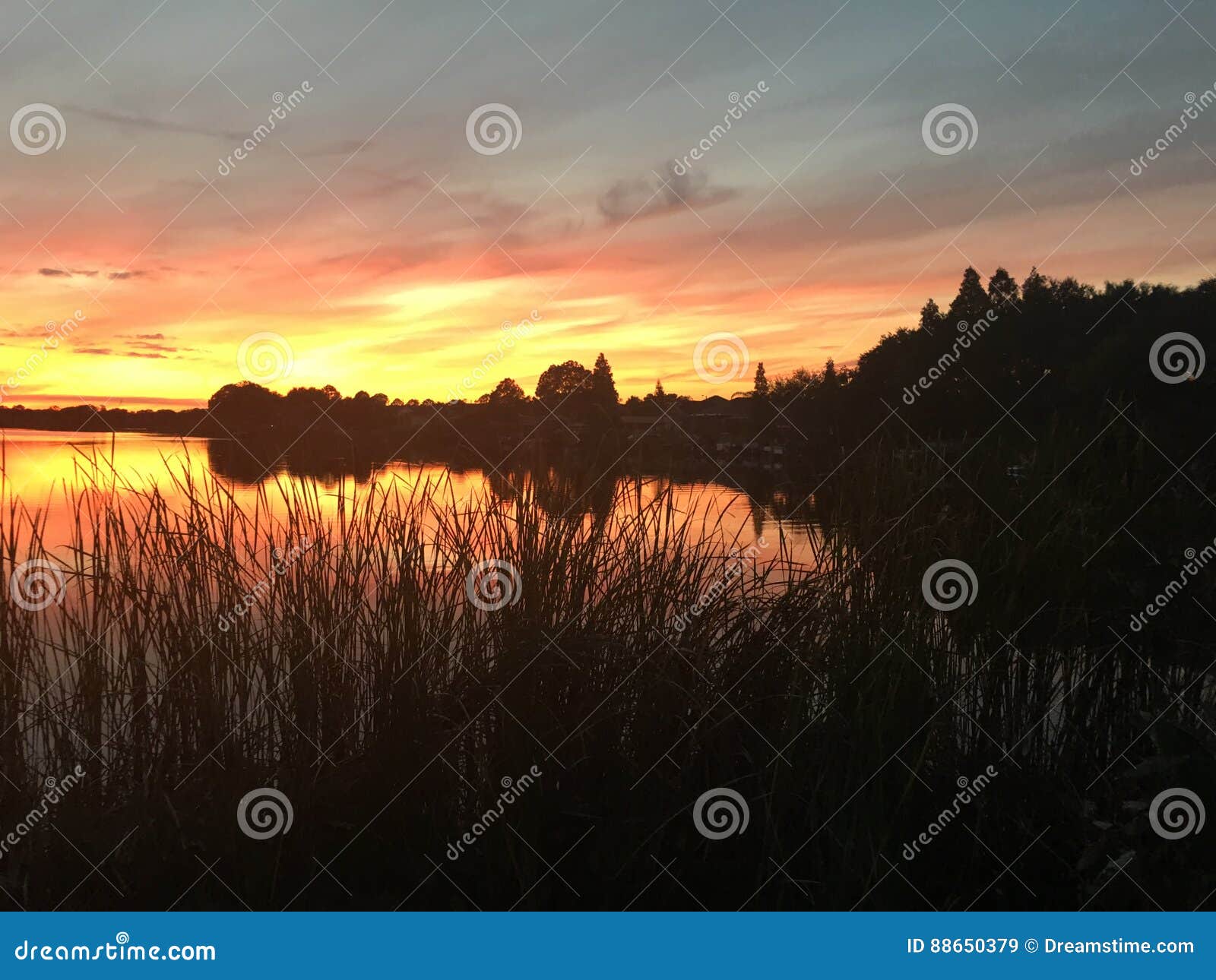 Mango lake stock image. Image of water, tonight, dusk - 88650379