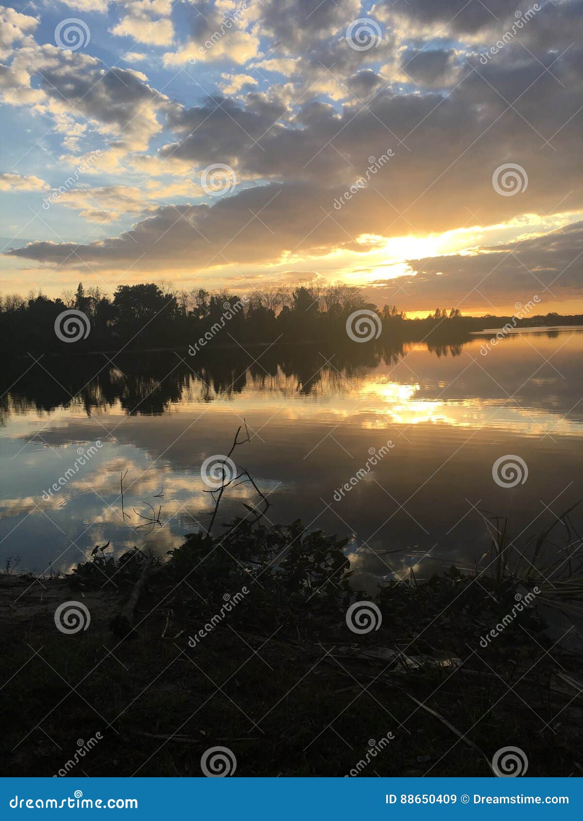 Mango lake stock image. Image of mango, horizon, morning - 88650409