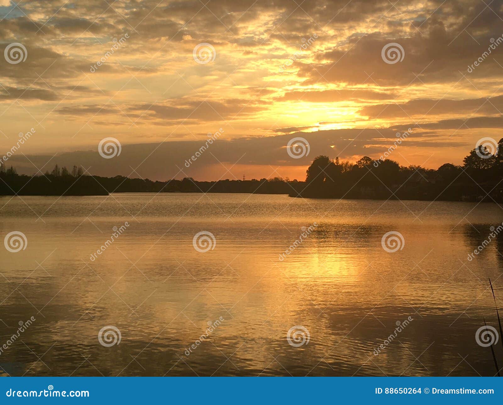 Mango lake stock photo. Image of tree, atmosphere, beautiful - 88650264