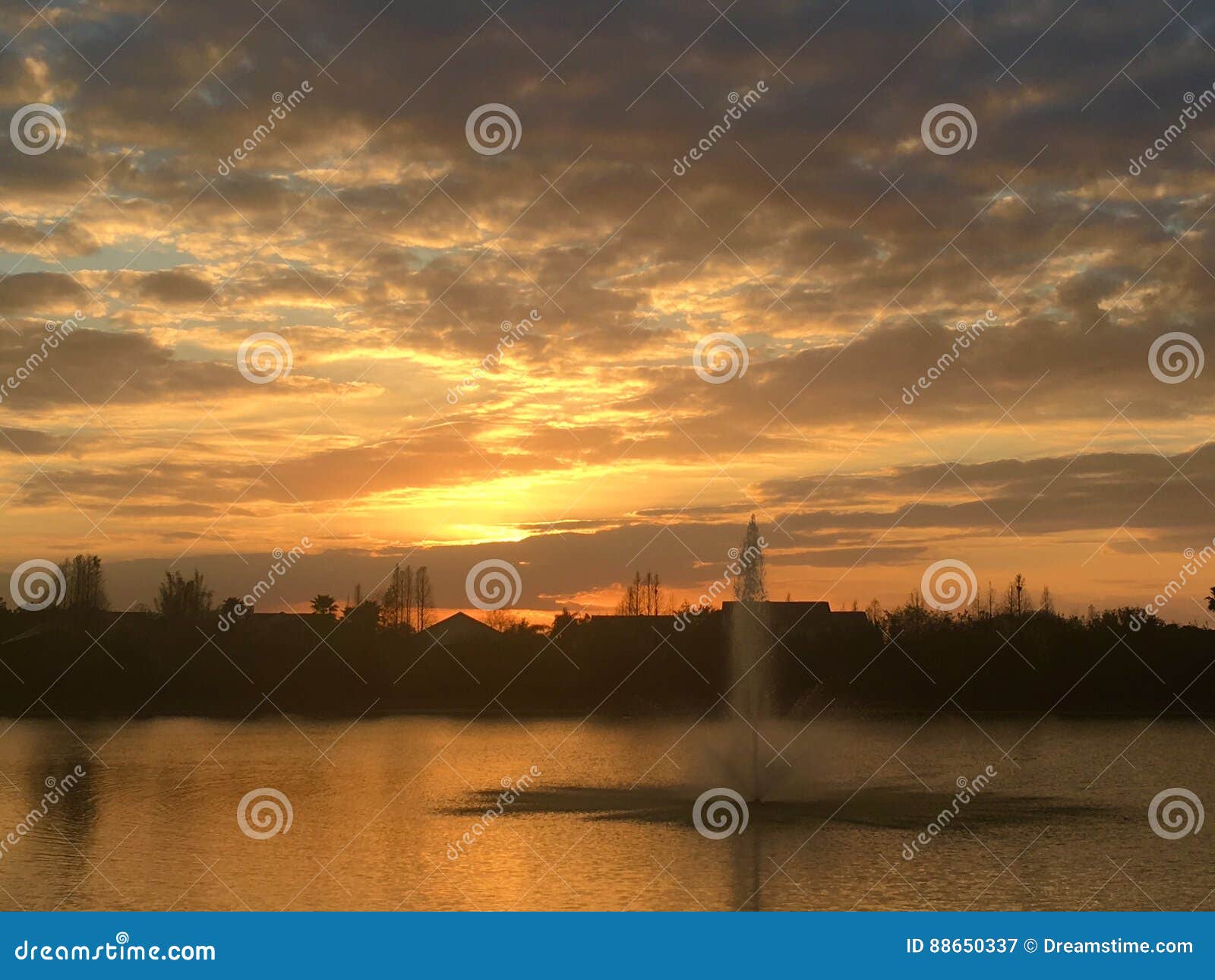 Mango lake stock image. Image of gorgeous, mango, sunset - 88650337