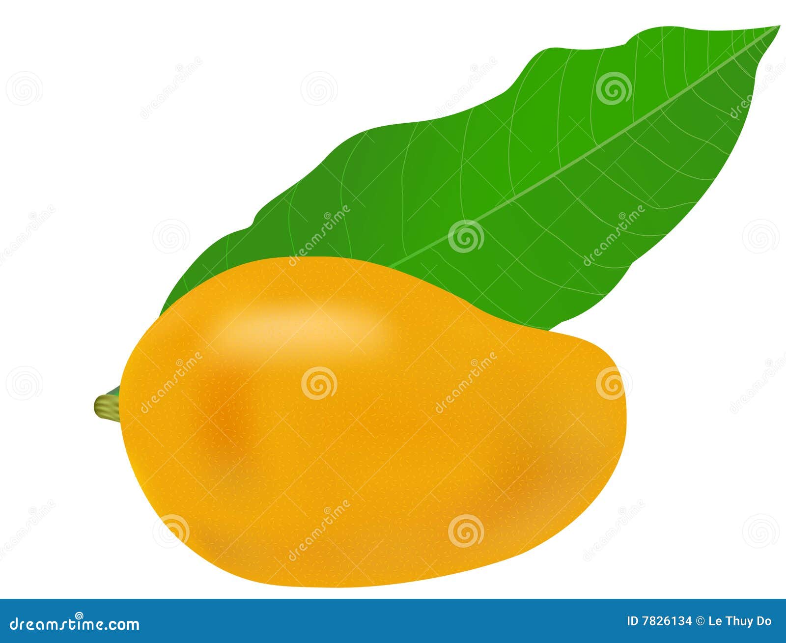Mango Leaf Clipart