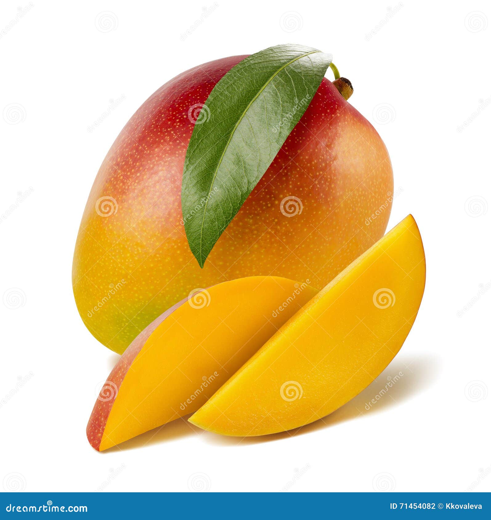 Mango Leaf Long Slices Isolated on White Background Stock Photo - Image ...