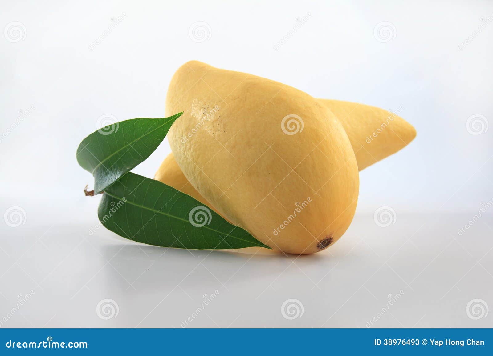 Mango with Leaf stock image. Image of mangoesteen, fruit - 38976493