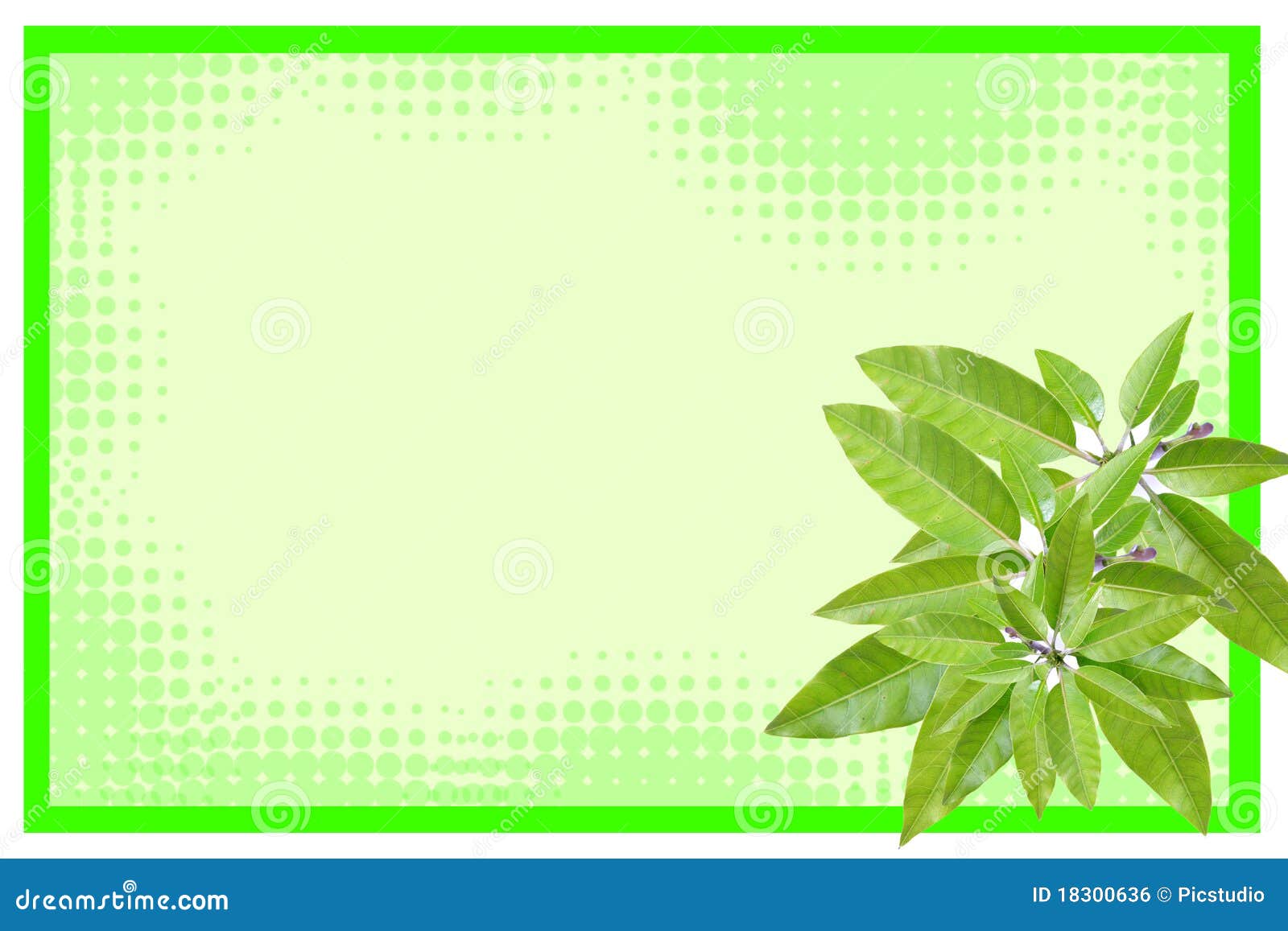 Mango leaves frame stock illustration. Illustration of border - 18300636