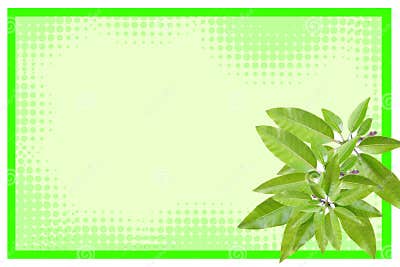 Mango leaves frame stock illustration. Illustration of border - 18300636