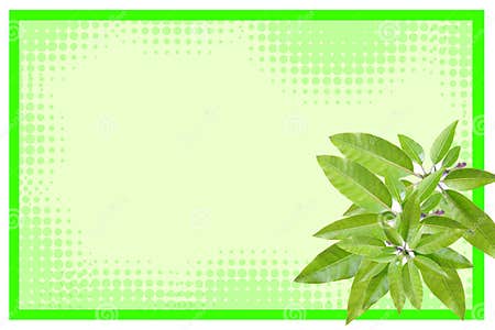 Mango leaves frame stock illustration. Illustration of border - 18300636