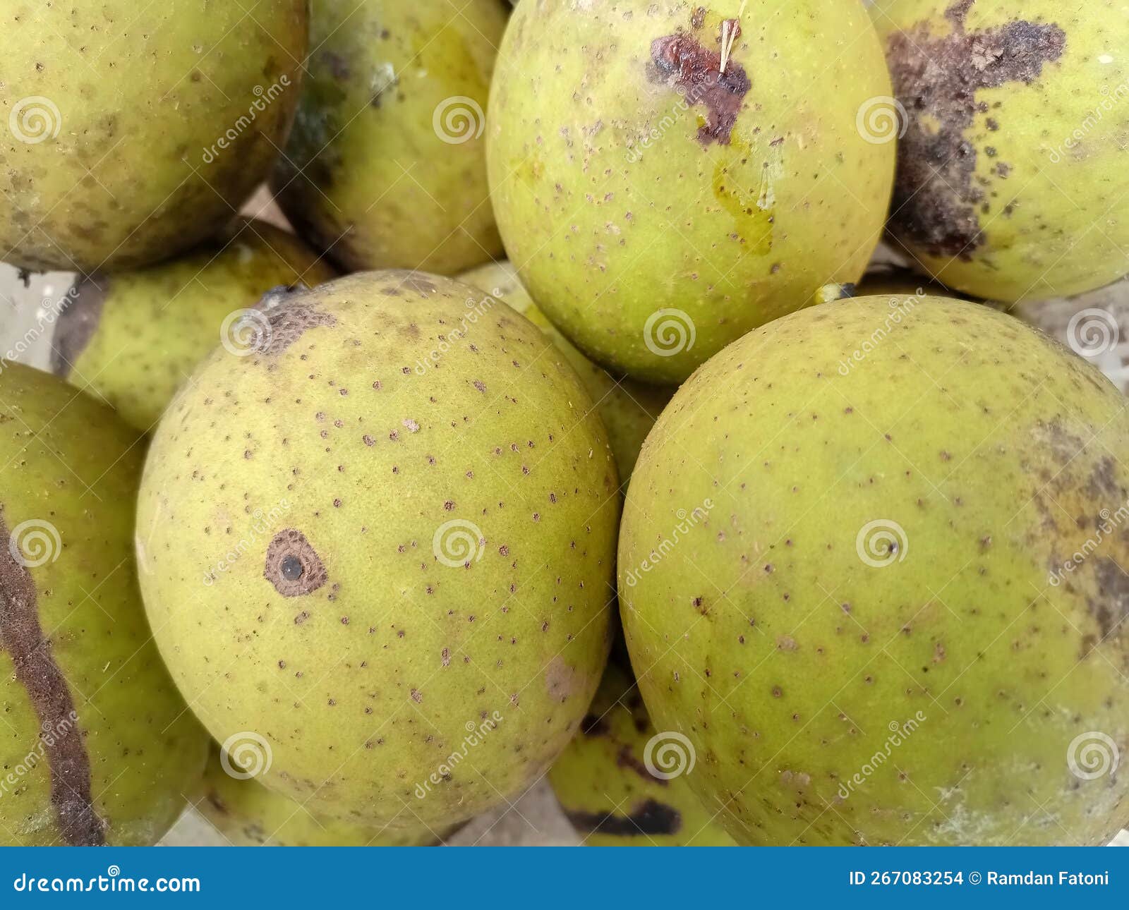 Mango (Limus) ackground stock photo. Image of fresh - 267083254