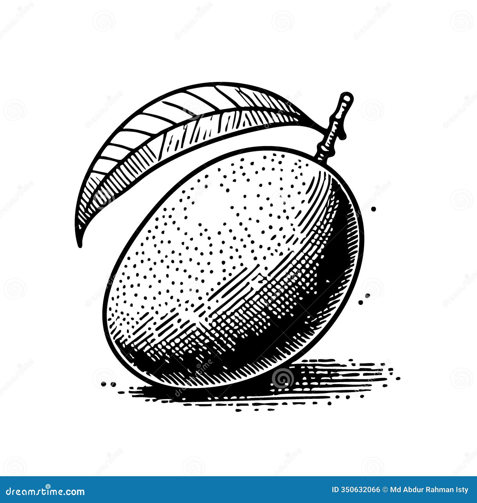 Mango Line Art Icon Drawing Stock Illustration - Illustration of ...