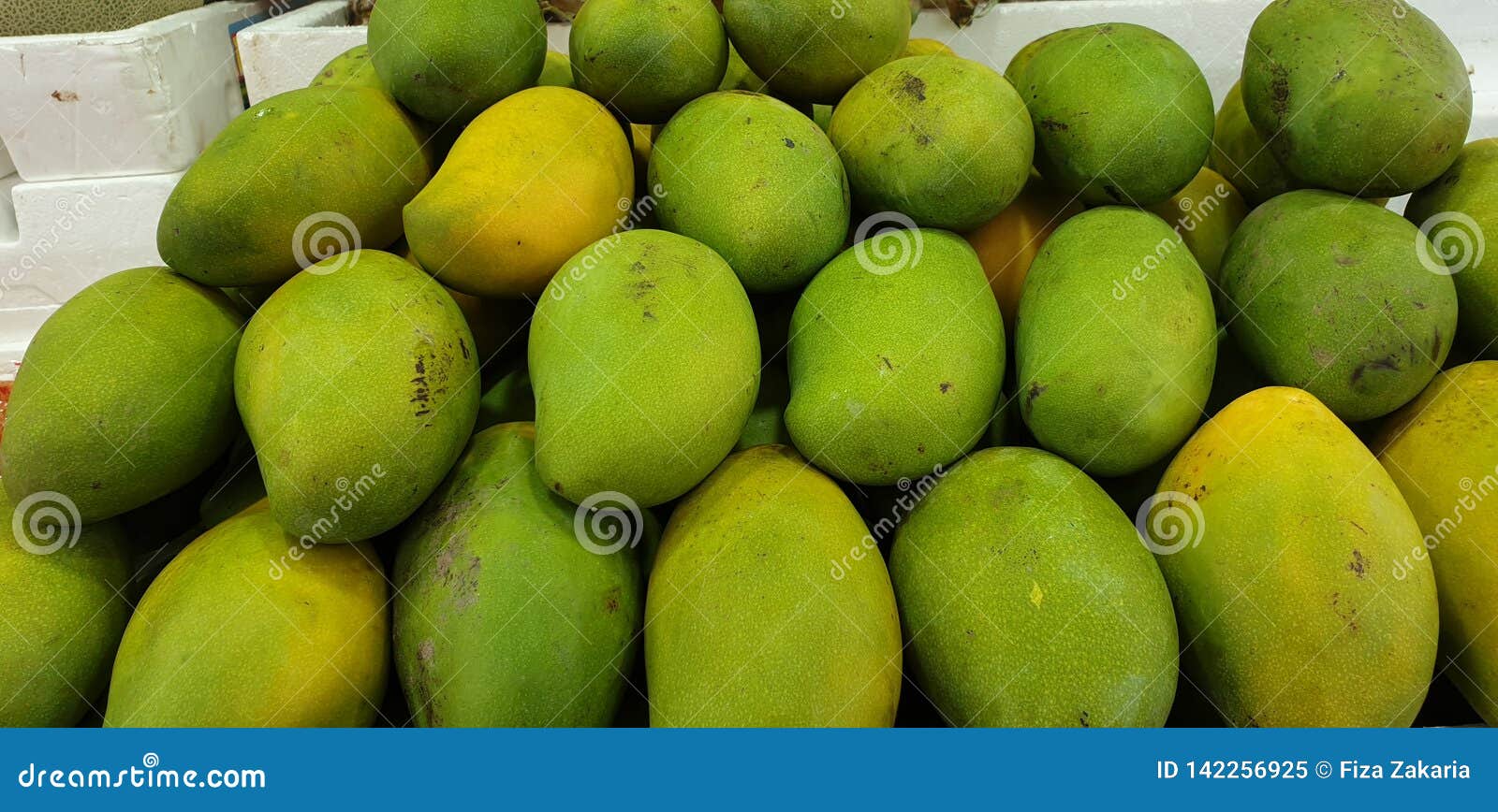 Mango stock image. Image of seasonal, fruit, yellow - 142256925