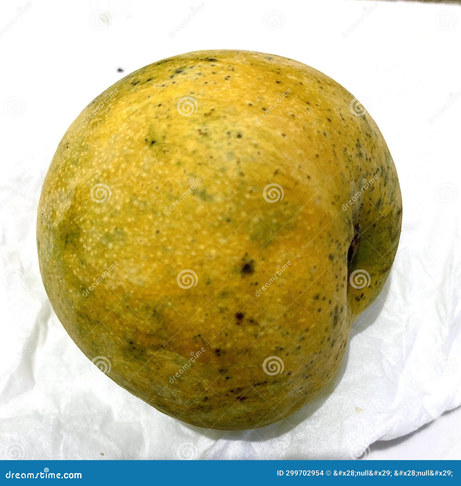 The Mango stock photo. Image of ripe, processed, mango - 299702954