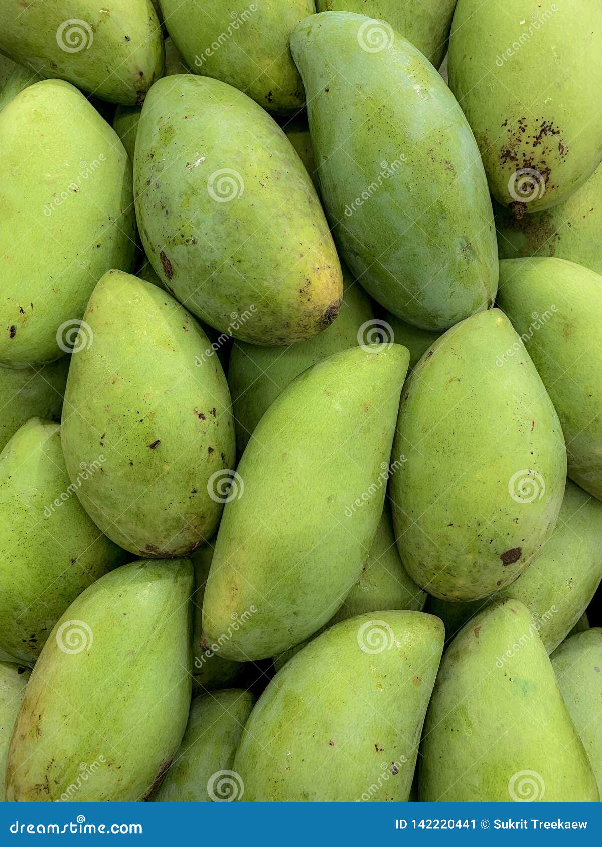 Mango at a market stall stock image. Image of mango - 142220441