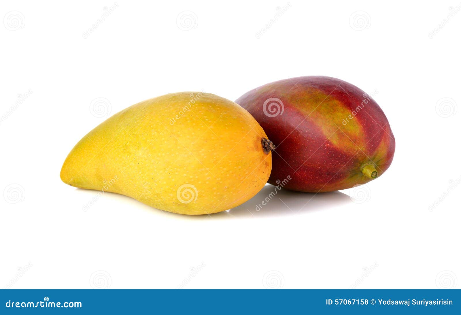 Mango Maturo Su Fondo Bianco Fotografia Stock - Immagine di rosso ...