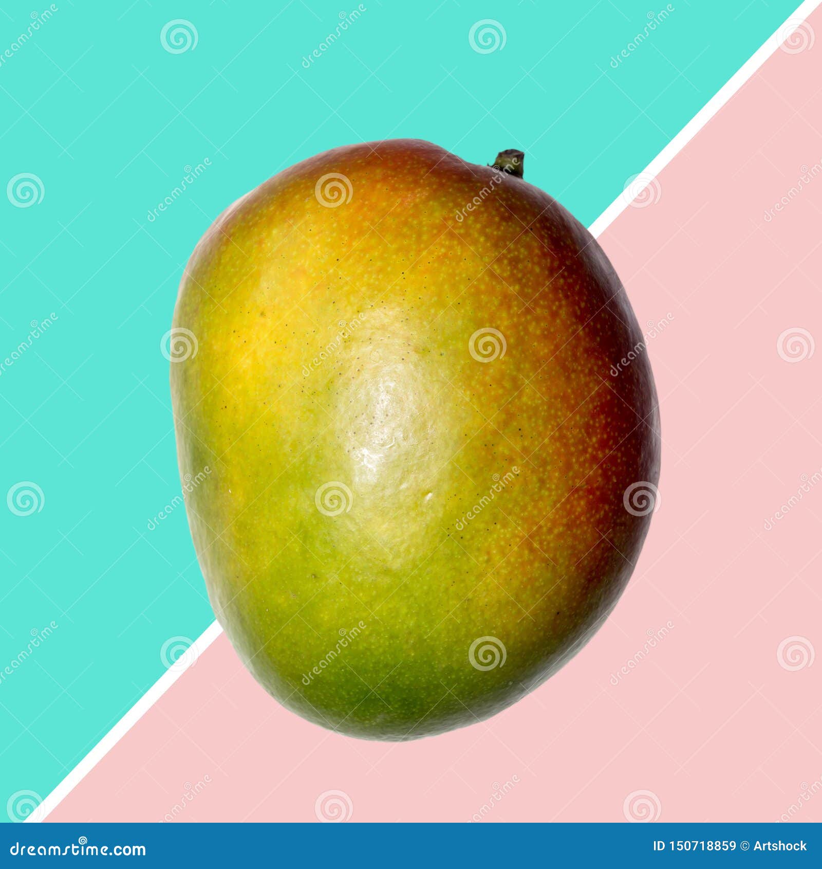 Mango in minimalism stock illustration. Illustration of eating - 150718859