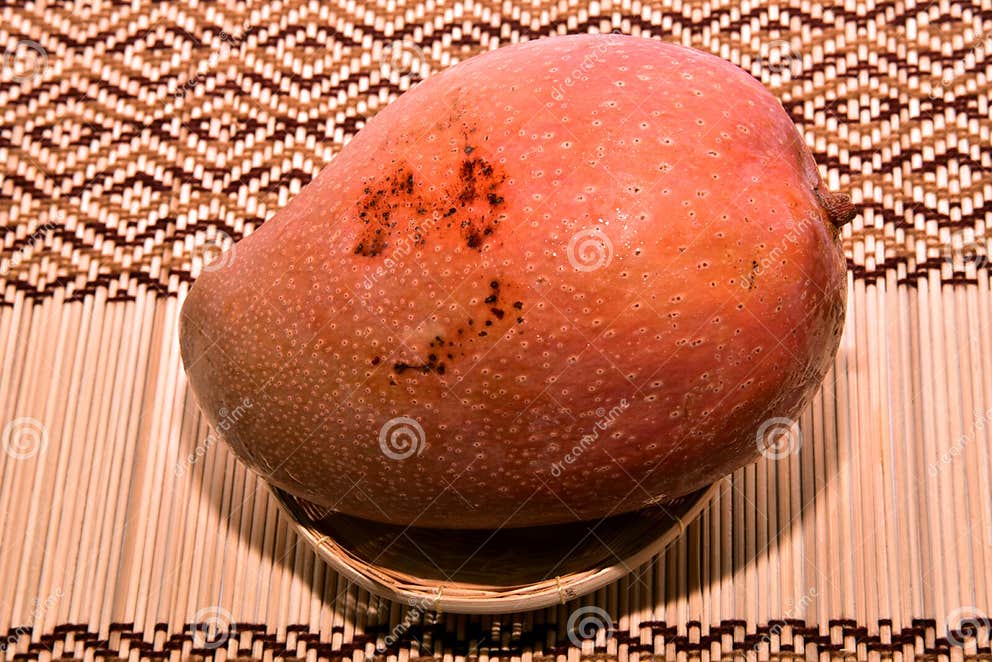 Mango stock photo. Image of sweets, swan, tree, named - 54515424