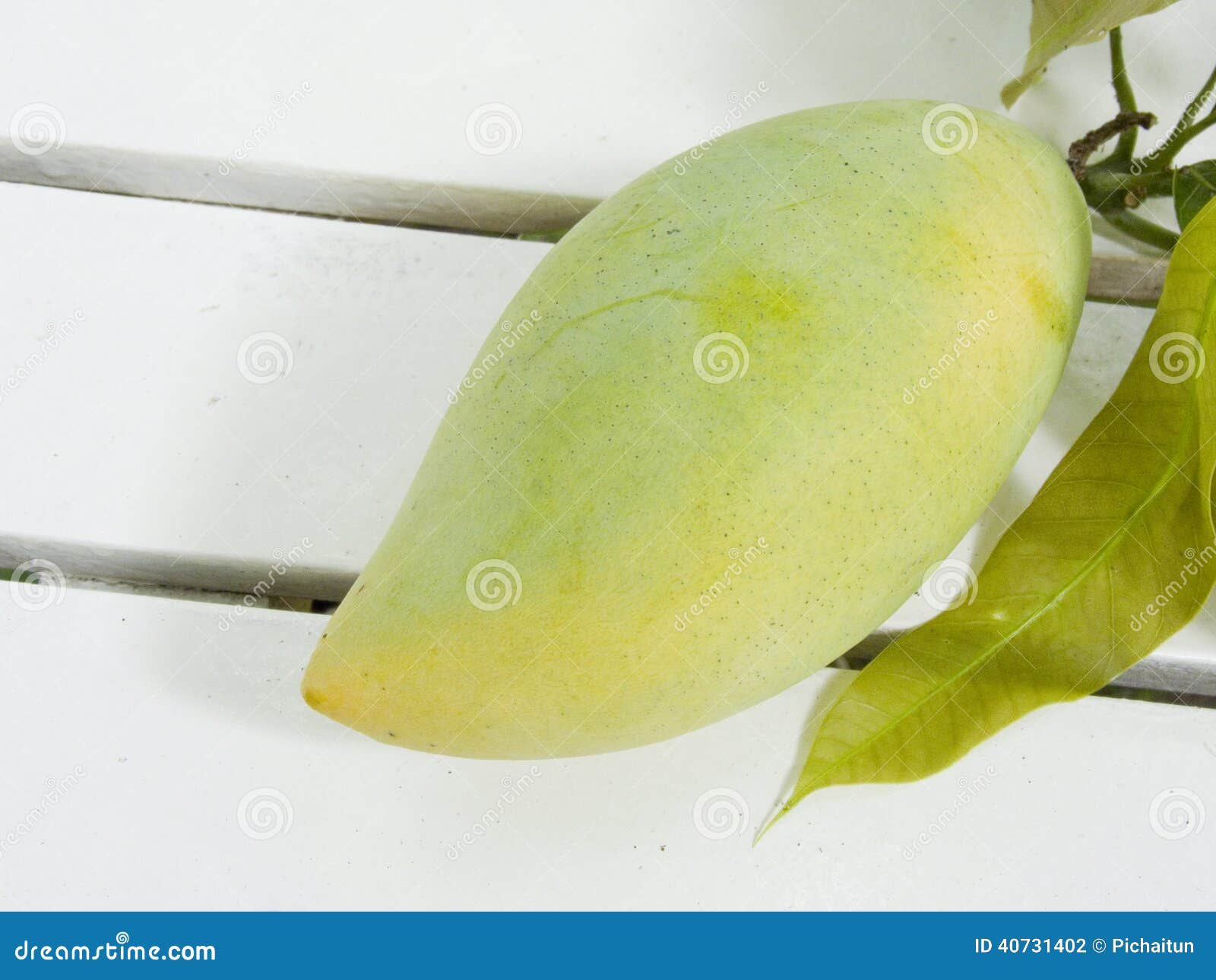 Mango stock photo. Image of riped, leaves, nutrients - 40731402