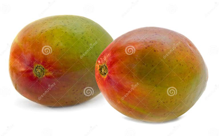 Mango pair isolated stock photo. Image of macro, dieting - 4661194