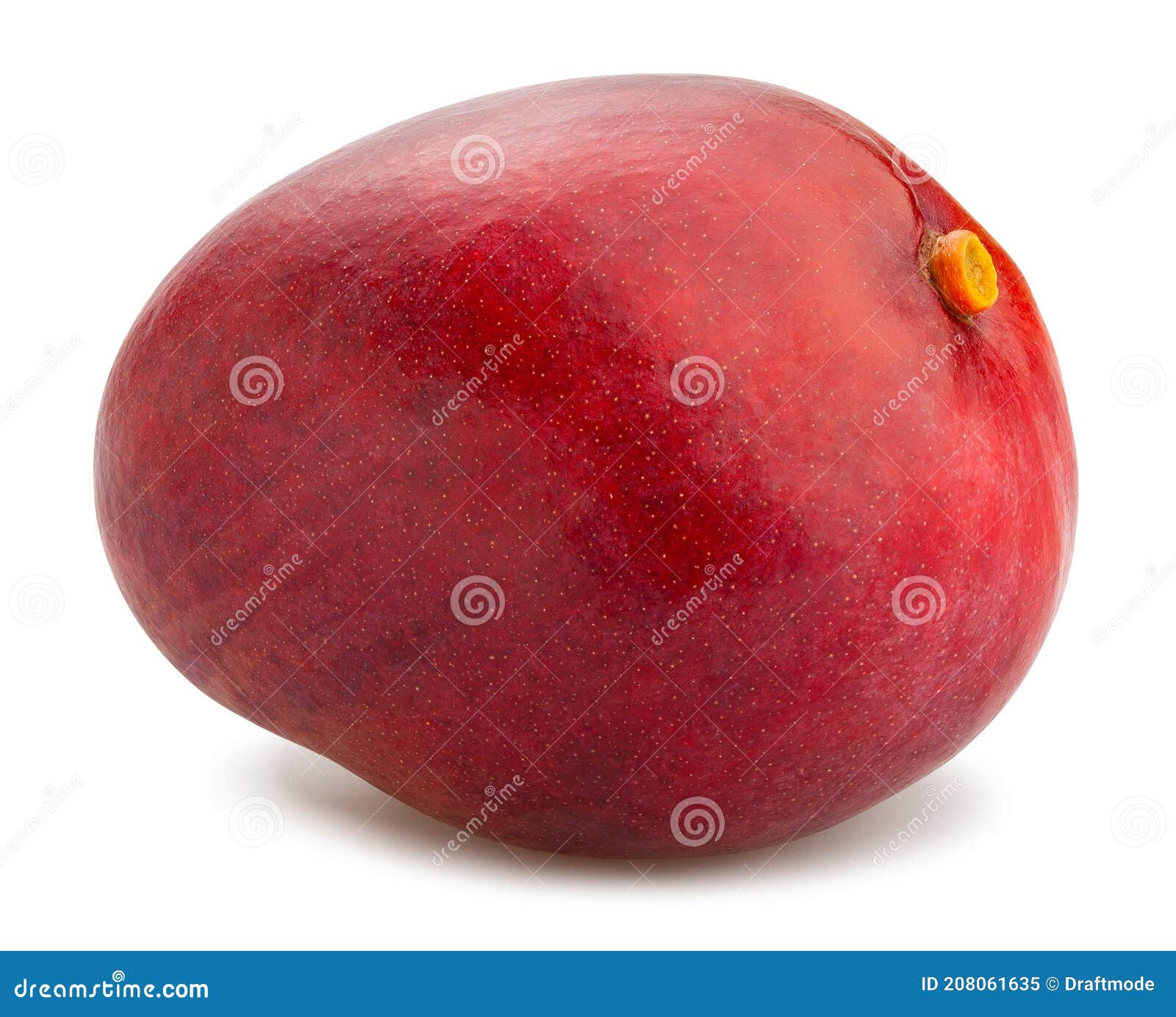 Mango path isolated stock image. Image of nutrition - 208061635