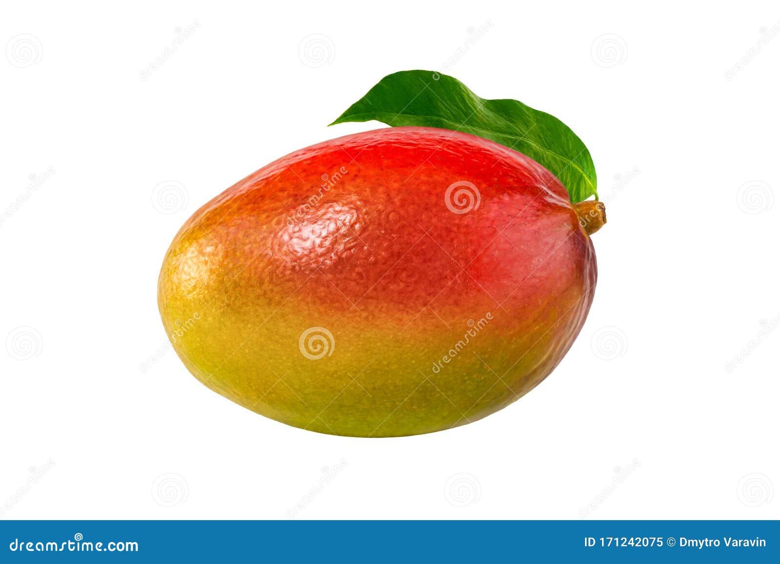 Mango Perfecto Aislado Con Hoja Imagen de archivo - Imagen de objeto ...