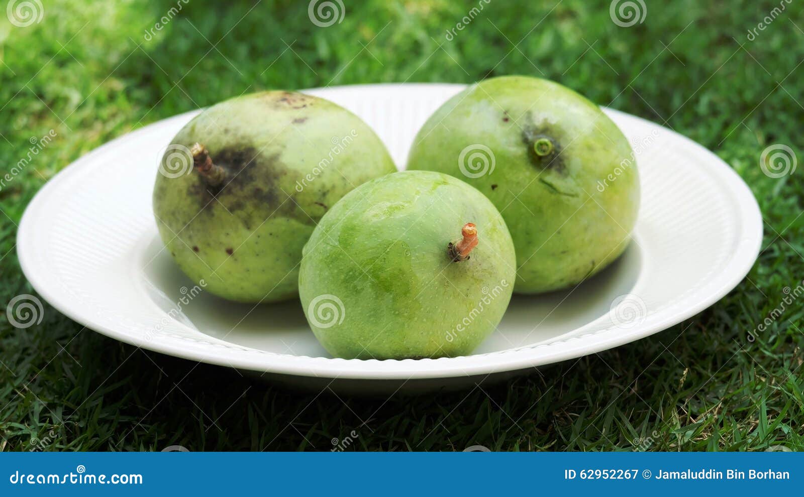 Mango in the plate stock image. Image of white, nature - 62952267