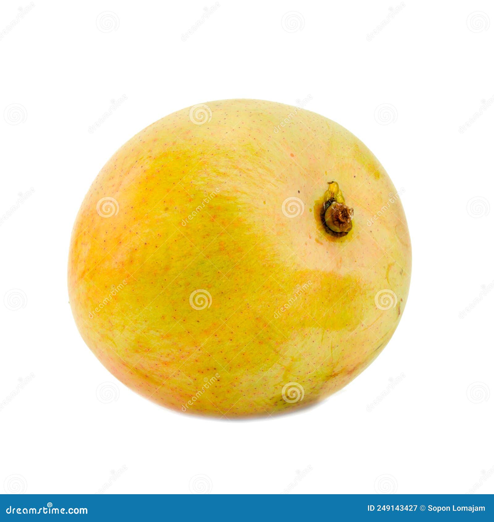 Mango R2e2 stock image. Image of agriculture, green - 249143427