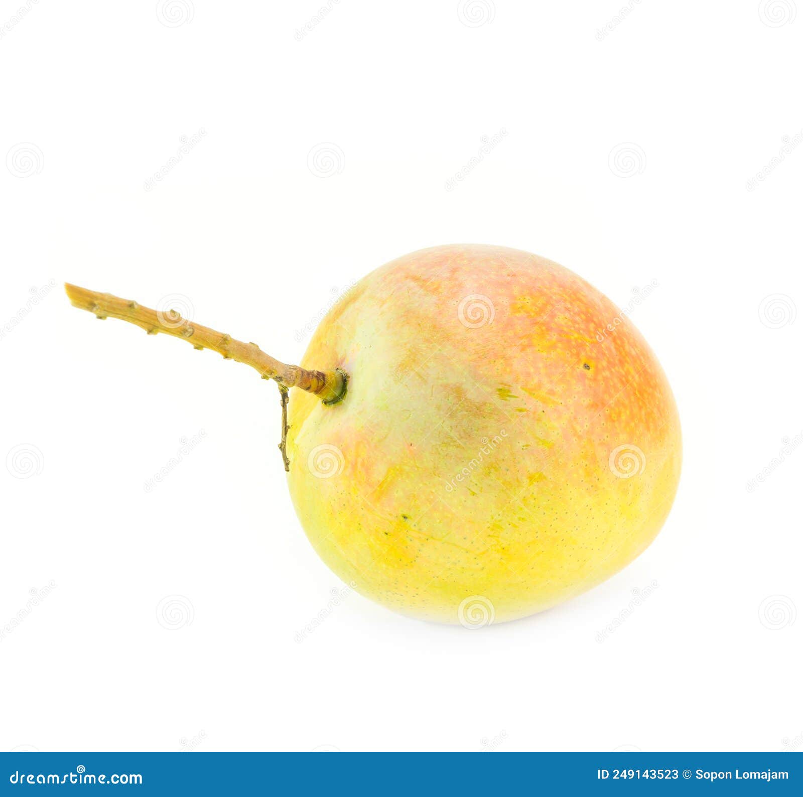 Mango R2e2 stock image. Image of fruit, plant, agriculture - 249143523