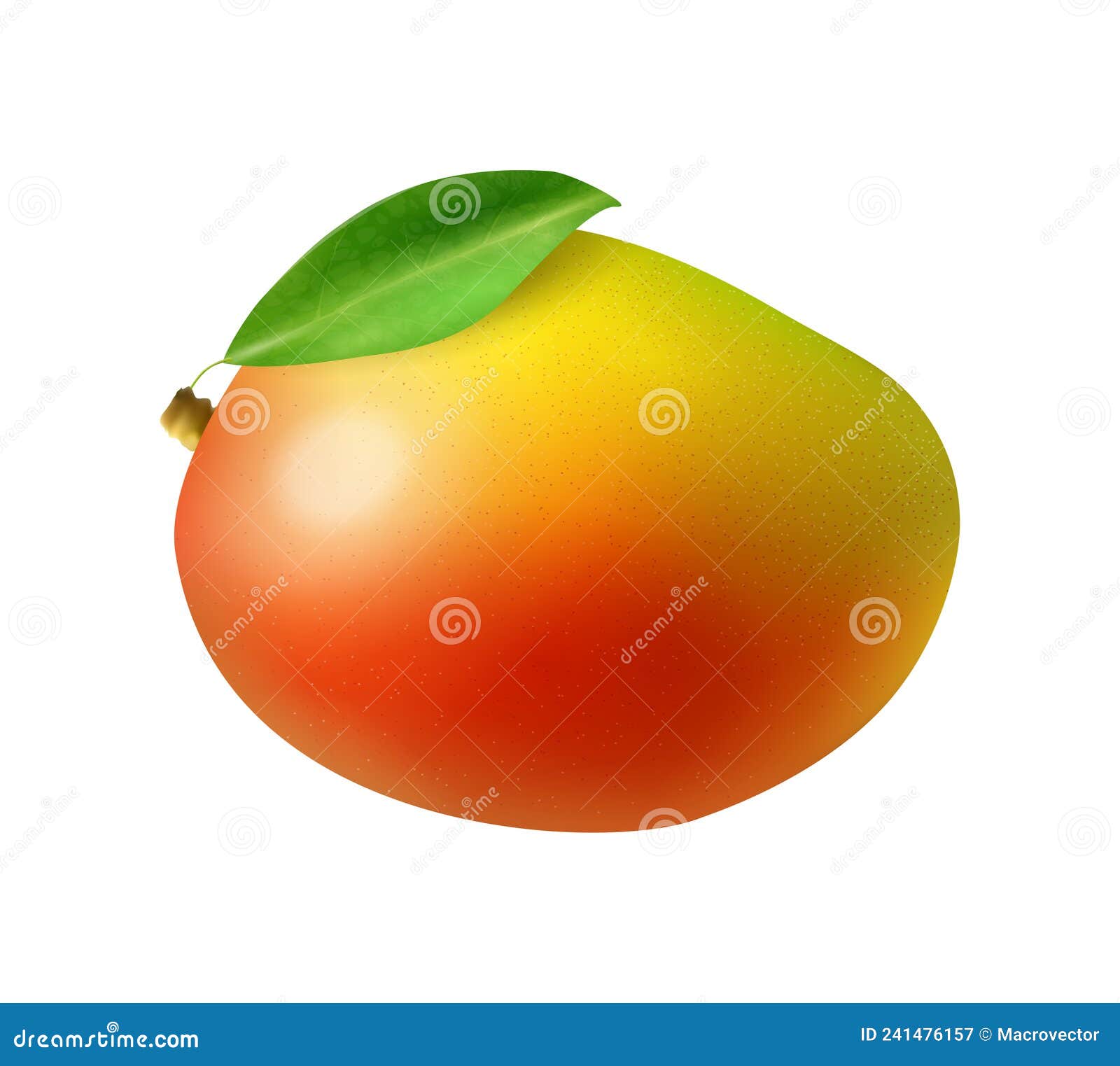 Mango Realistic Illustration Stock Vector - Illustration of concept ...